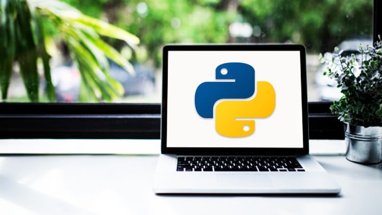 Learn Python From Scratch Python Programming Royalboss