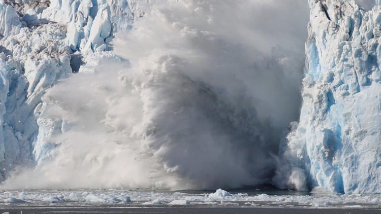 Climate Change & Sustainability Essentials -2024 Edition | RoyalBosS