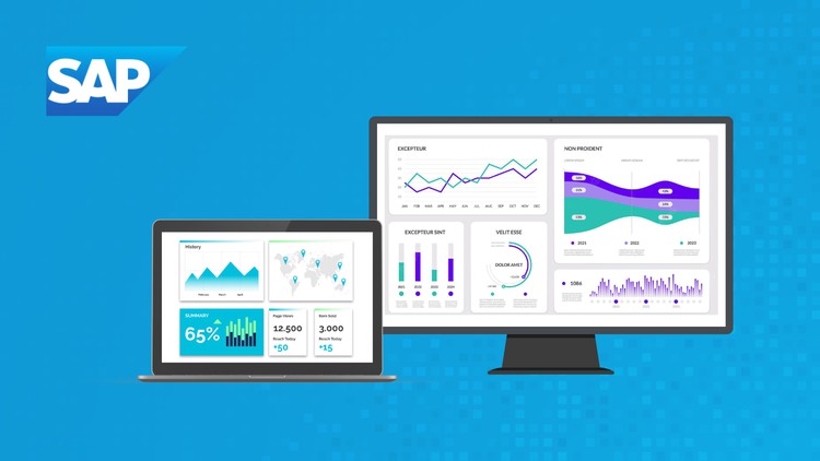 SAP ERP: Become an SAP S/4HANA Certified Consultant | RoyalBosS