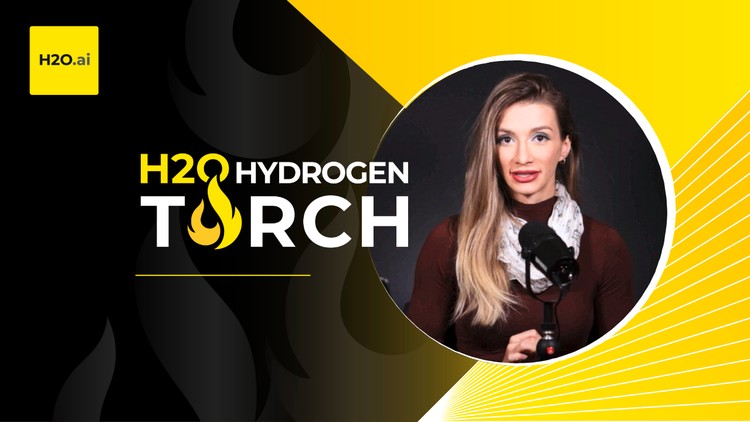 H2O Hydrogen Torch Starter Course | RoyalBosS