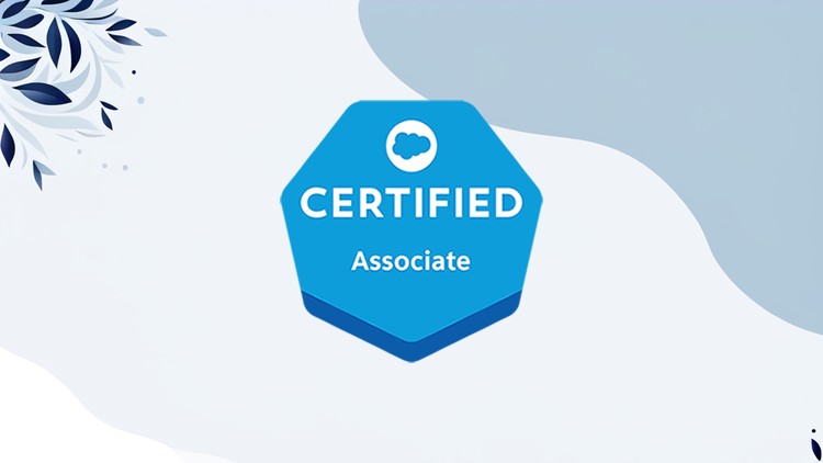 Salesforce Associate Exam Mastery 2024: Preparation Guide | RoyalBosS