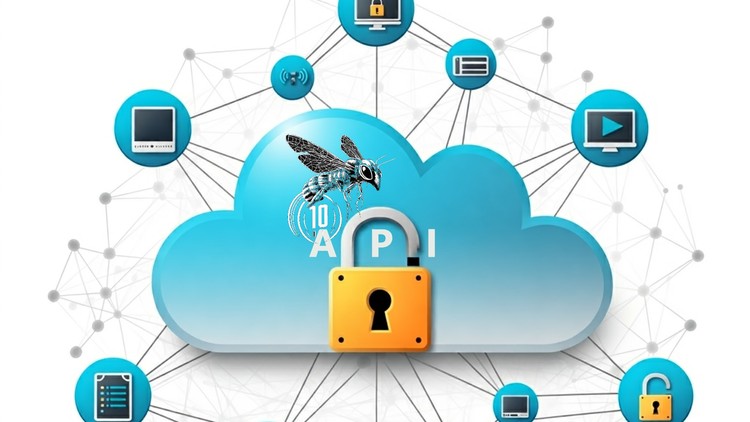 OWASP API Security Top 10 Risks - Ultimate Guide | RoyalBosS