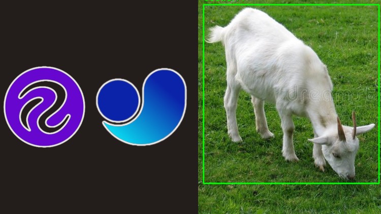 Complete Goat Detection and Counting Using YOLOv11 | RoyalBosS