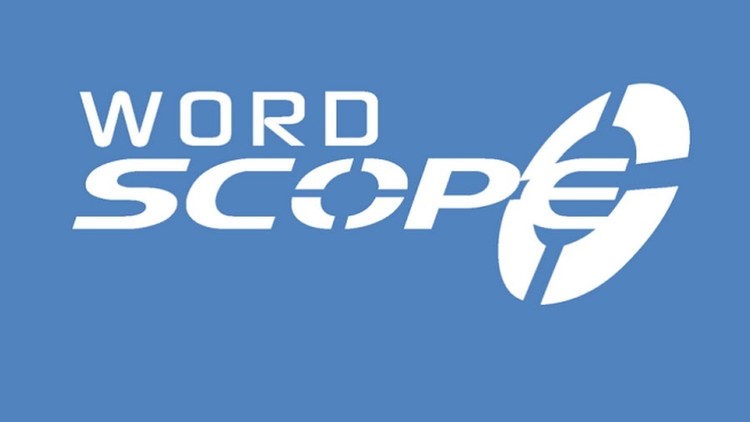 Learn Wordscope From Scratch for Your Translation Projects | RoyalBosS
