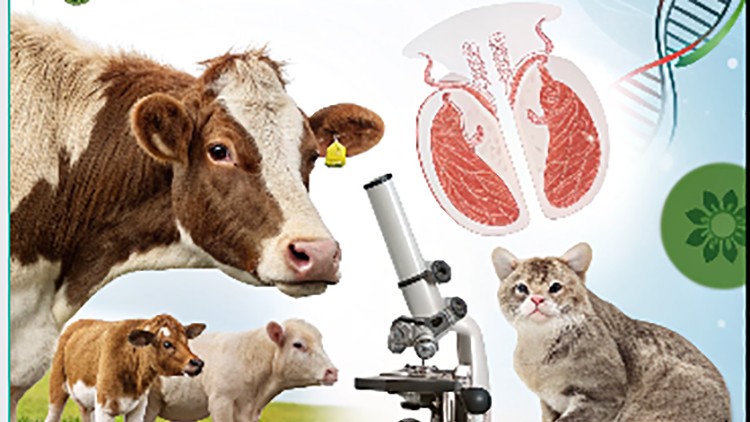 Animal Reproduction: Anatomy, Physiology, and Biotechnolog | RoyalBosS