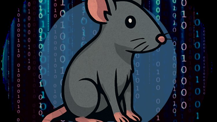 CAPIE - Certified API Hacking Expert Course Content | RoyalBosS